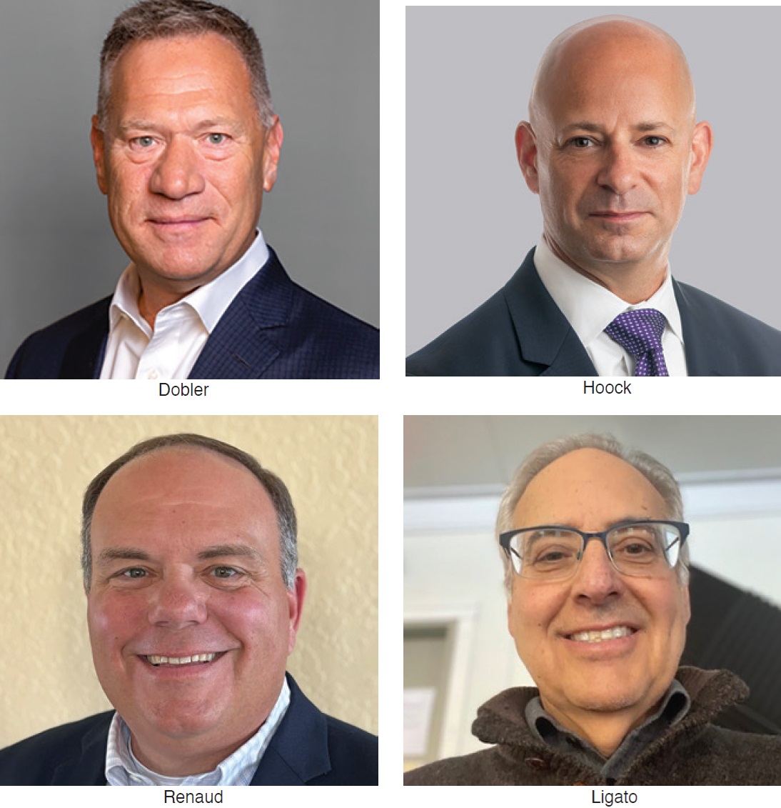 NAES names Dobler president/CEO, makes other executive appointments ...